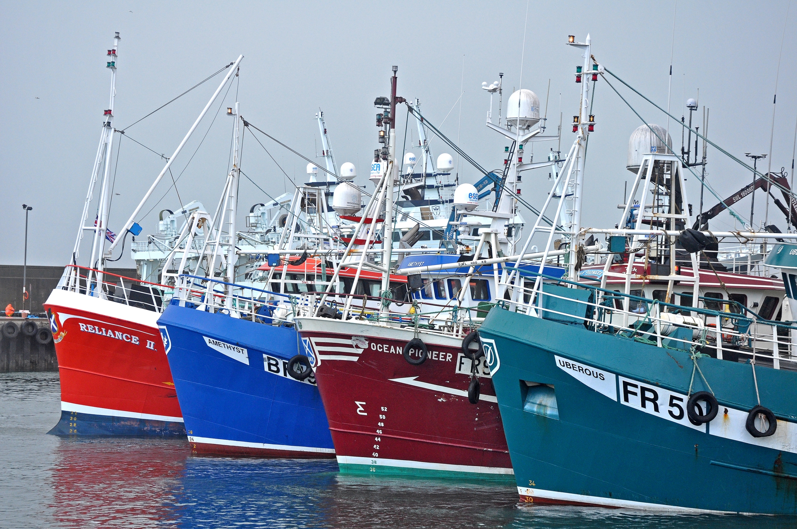 About — The Scottish White Fish Producers Association Ltd