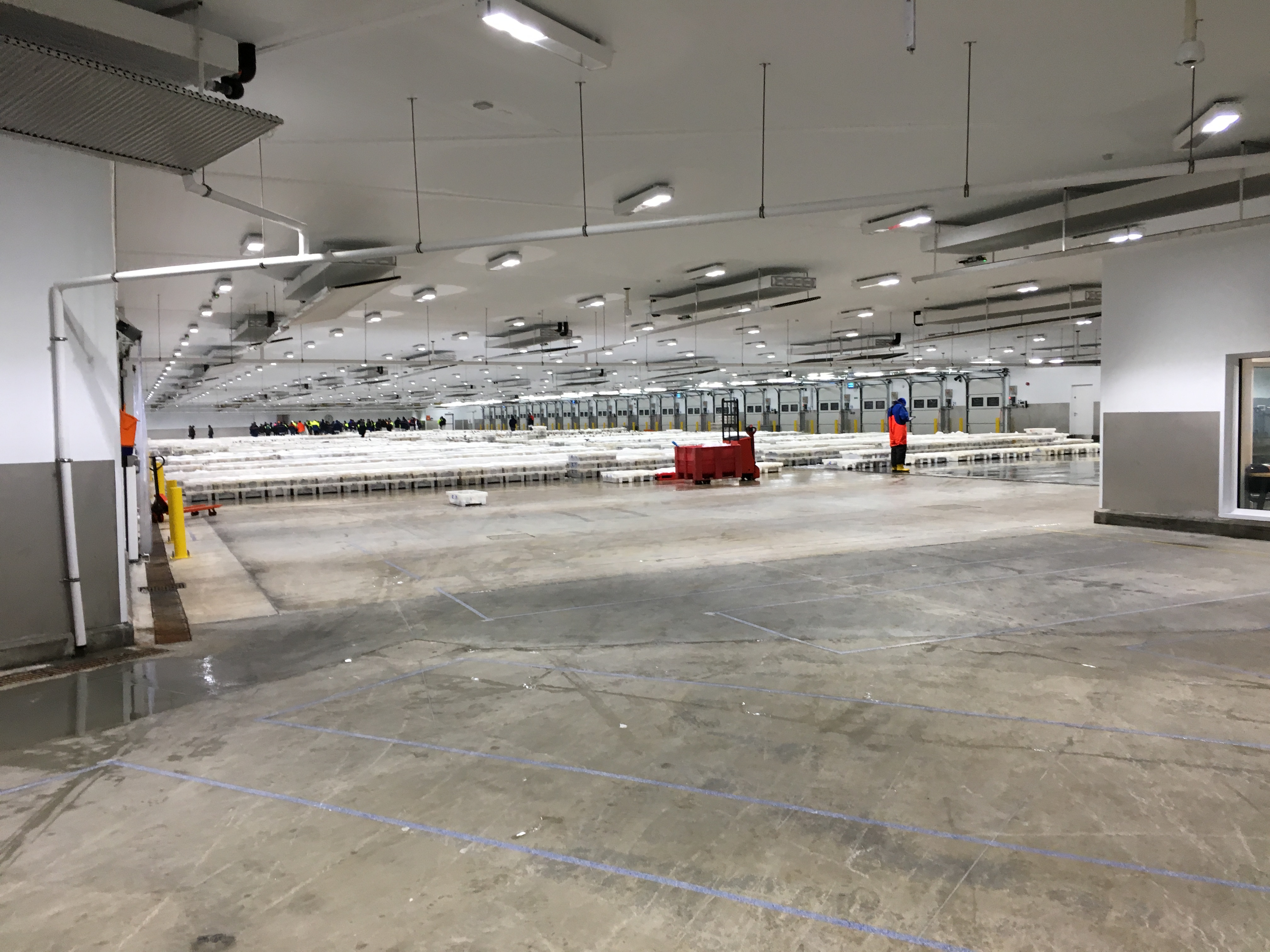 Preparing cod — The Scottish White Fish Producers Association Ltd